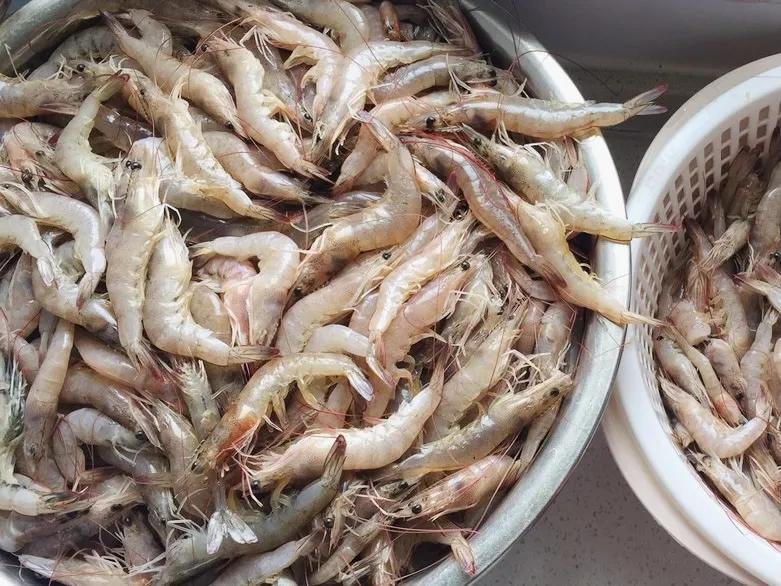 What does the sea smell like?It's all in a bowl of shrimp paste from ...