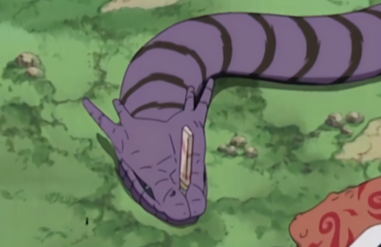 Why didn't Sasuke let the ten thousand snakes fight?Tell the reason ...