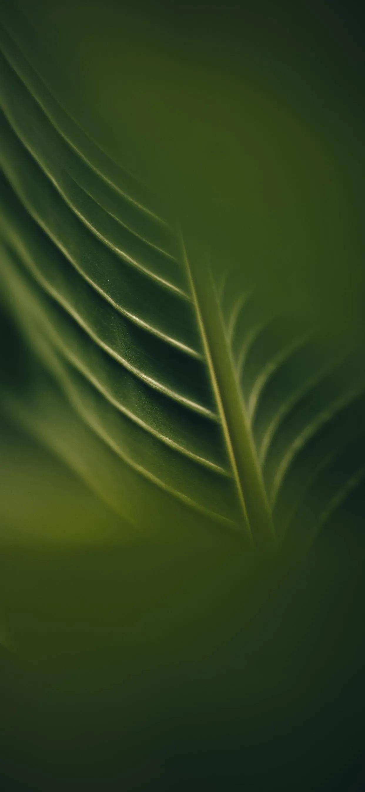 Eye protection wallpaper ‖ let the eyes rest - iNEWS