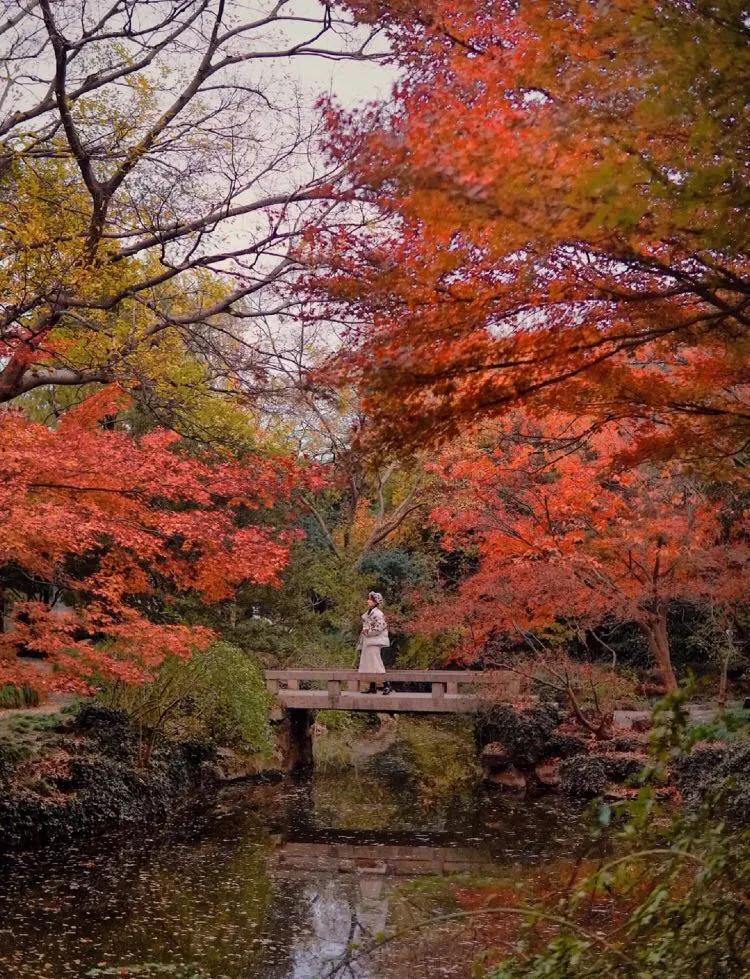 The autumn of Shanghainese is so enviable for the people of Shanghai ...