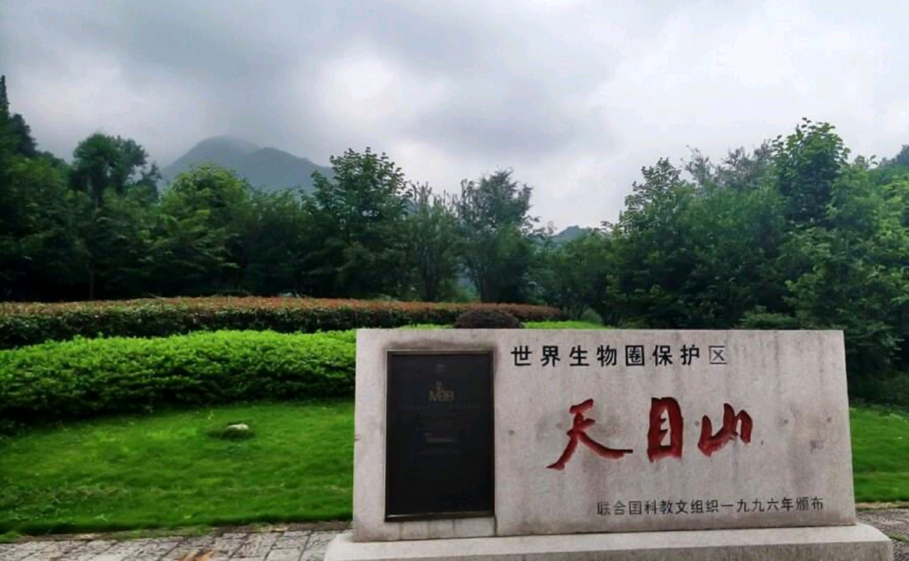 The British photographed "Tianmu Mountain" in Hangzhou, causing ...