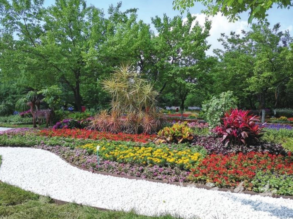 Flower Border Design in Garden Landscape Design - iNEWS