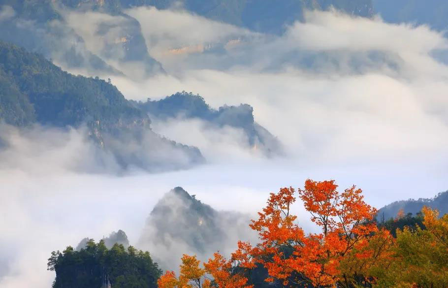 Nanjiang, Sichuan: The autumn scenery of Guangwu Mountain is poetic and ...