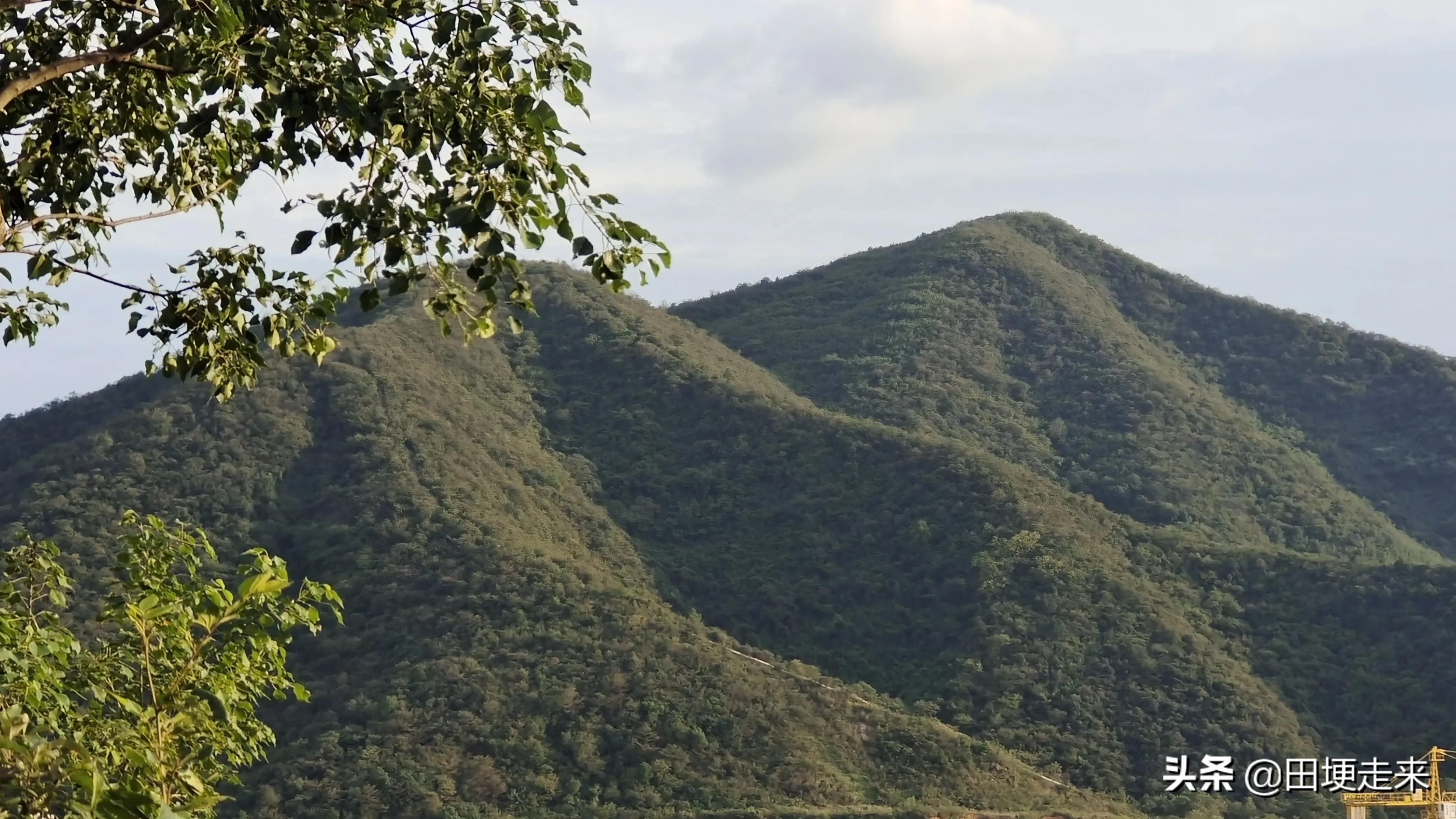 Bijia Mountain, Tongling: A natural oxygen bar at the doorstep of the ...