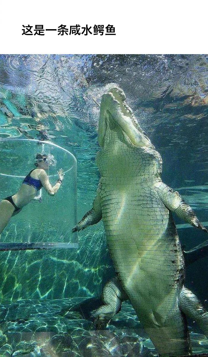 A set of pictures that may cause "giant phobia"!Which one scares you ...