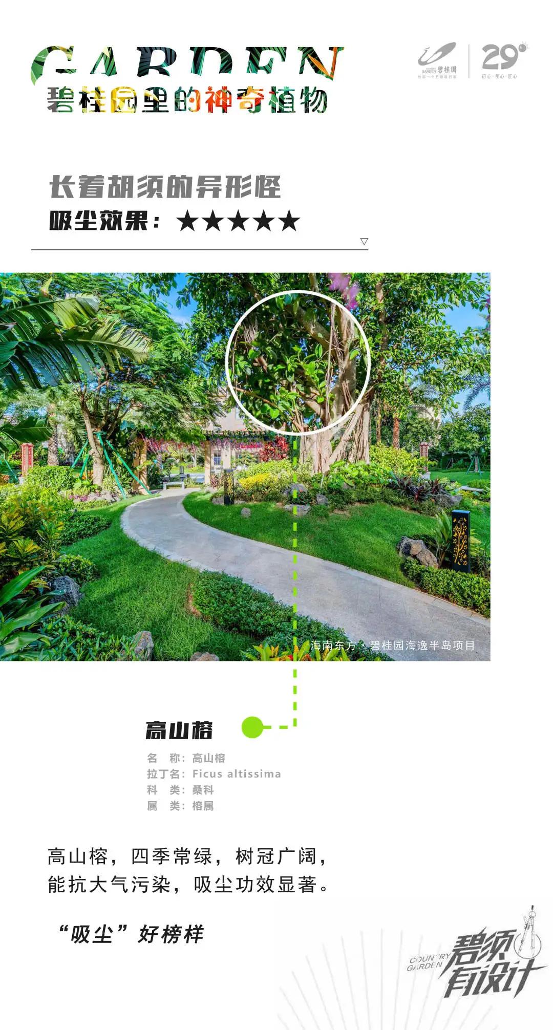 Looking at the magical plants in Country Garden, weird and strange ...