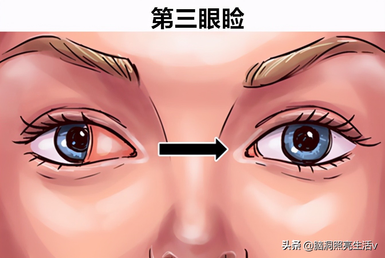 Humans have a third eye?Scientifically proven: 9 very mysterious ...