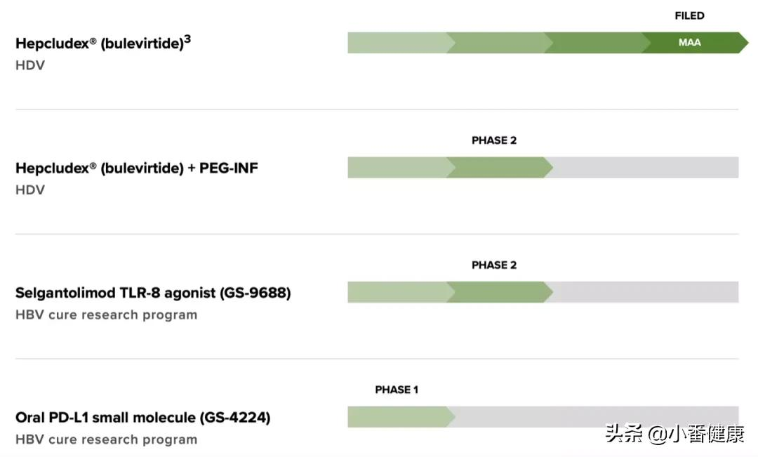 Hepatitis B/D hepatitis D drug research background, NTCP as a new ...