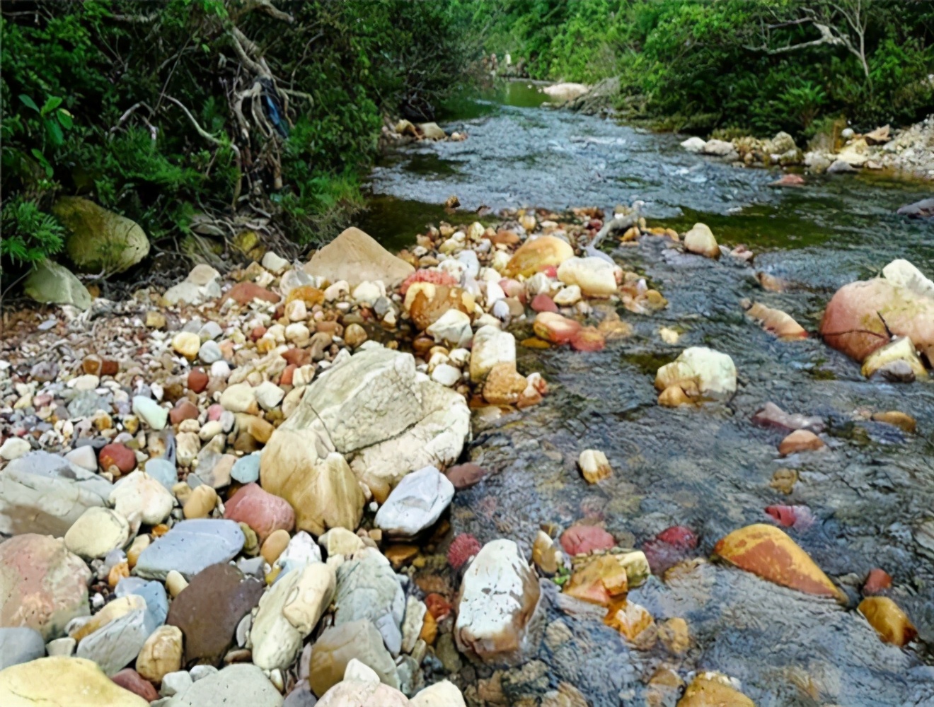 Enping is surprised to see a mountain stream that stretches for ten ...