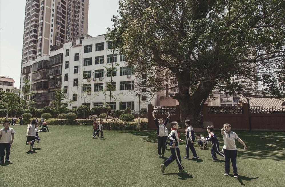 Lin Lanying: Break through the obstacles of the United States ...