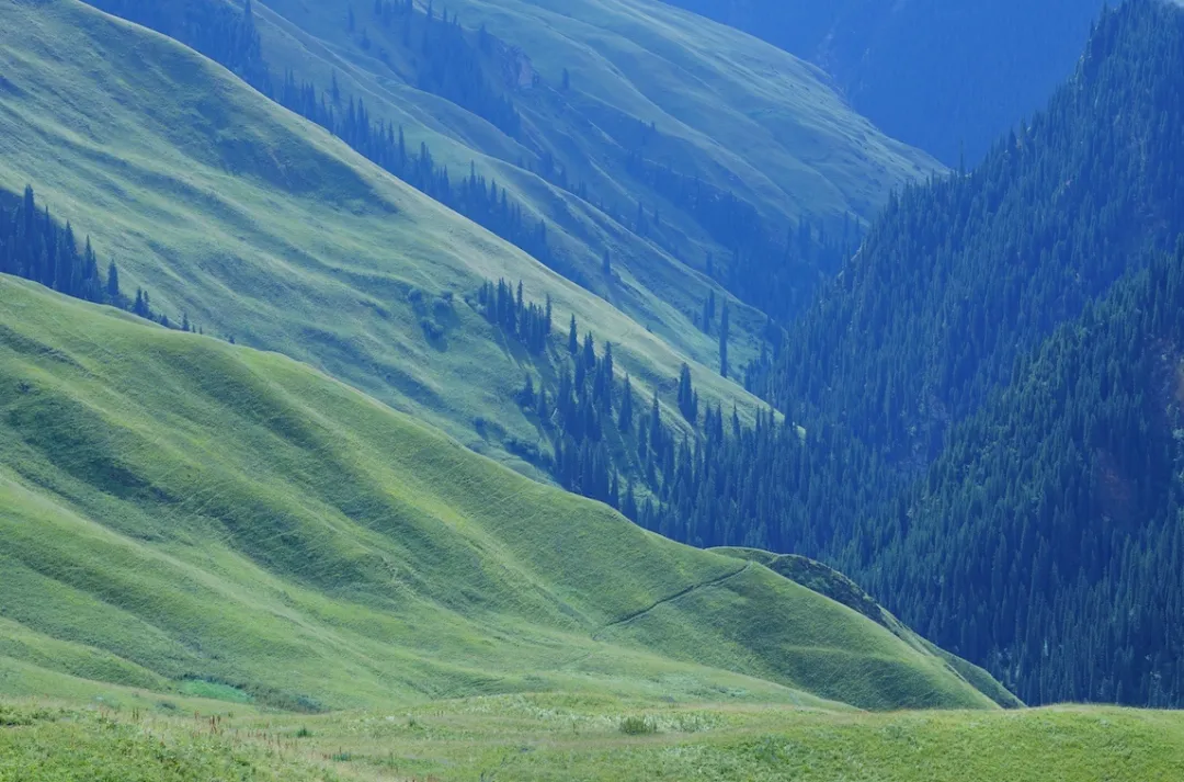 Wusun Ancient Road-Control the wind and wading, appreciate the beauty ...