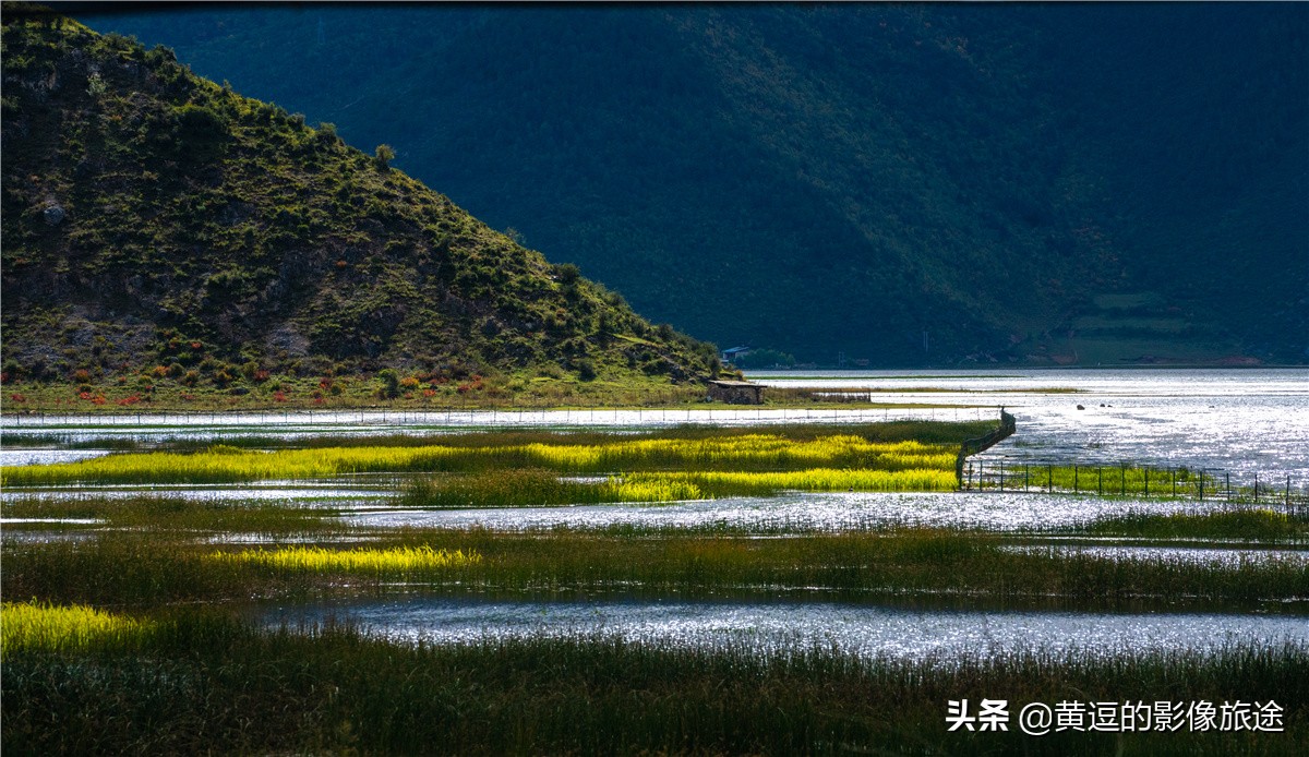 Real shot: The autumn scenery of the Napahai Grassland Wetland in ...