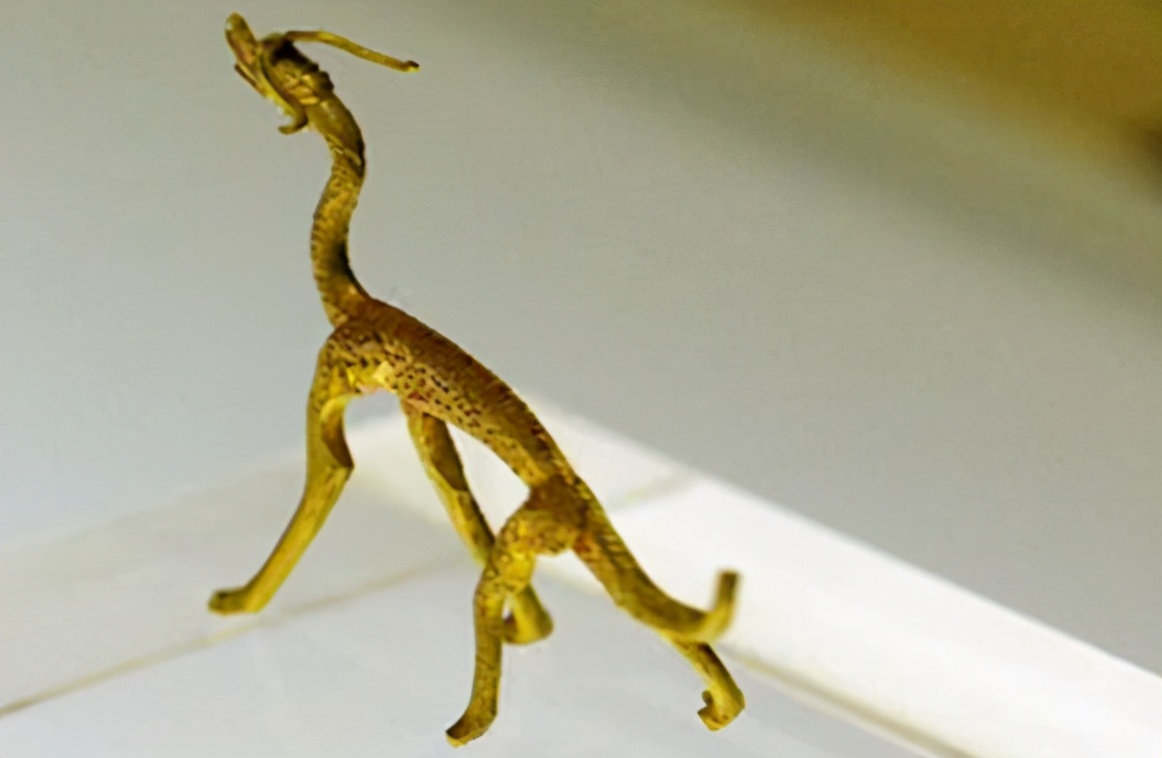 The archaeological team unearthed 12 small golden dragons. Experts ...
