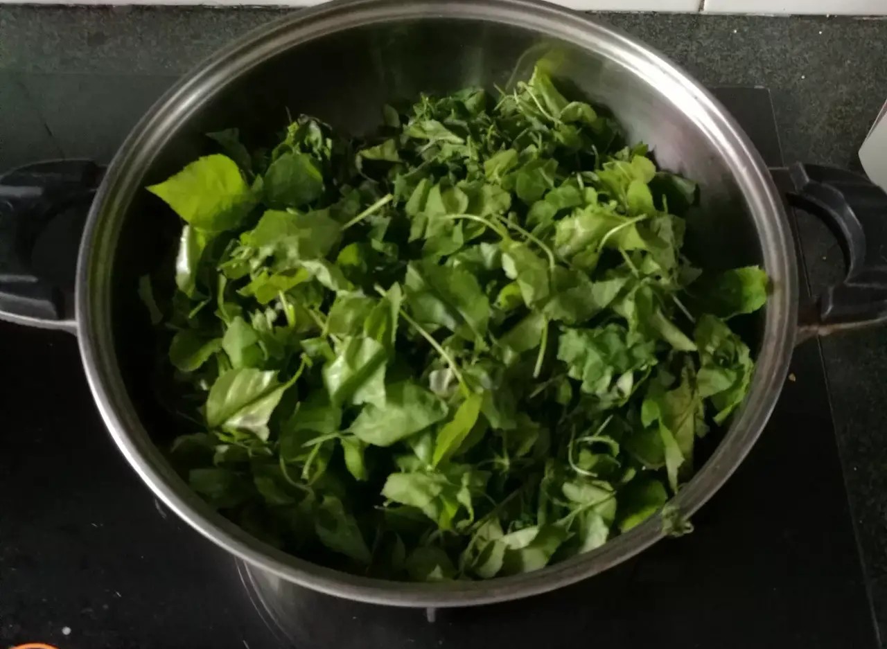 Hand-made Chaoshan bitter thorn tea-bok choy tea - iNEWS