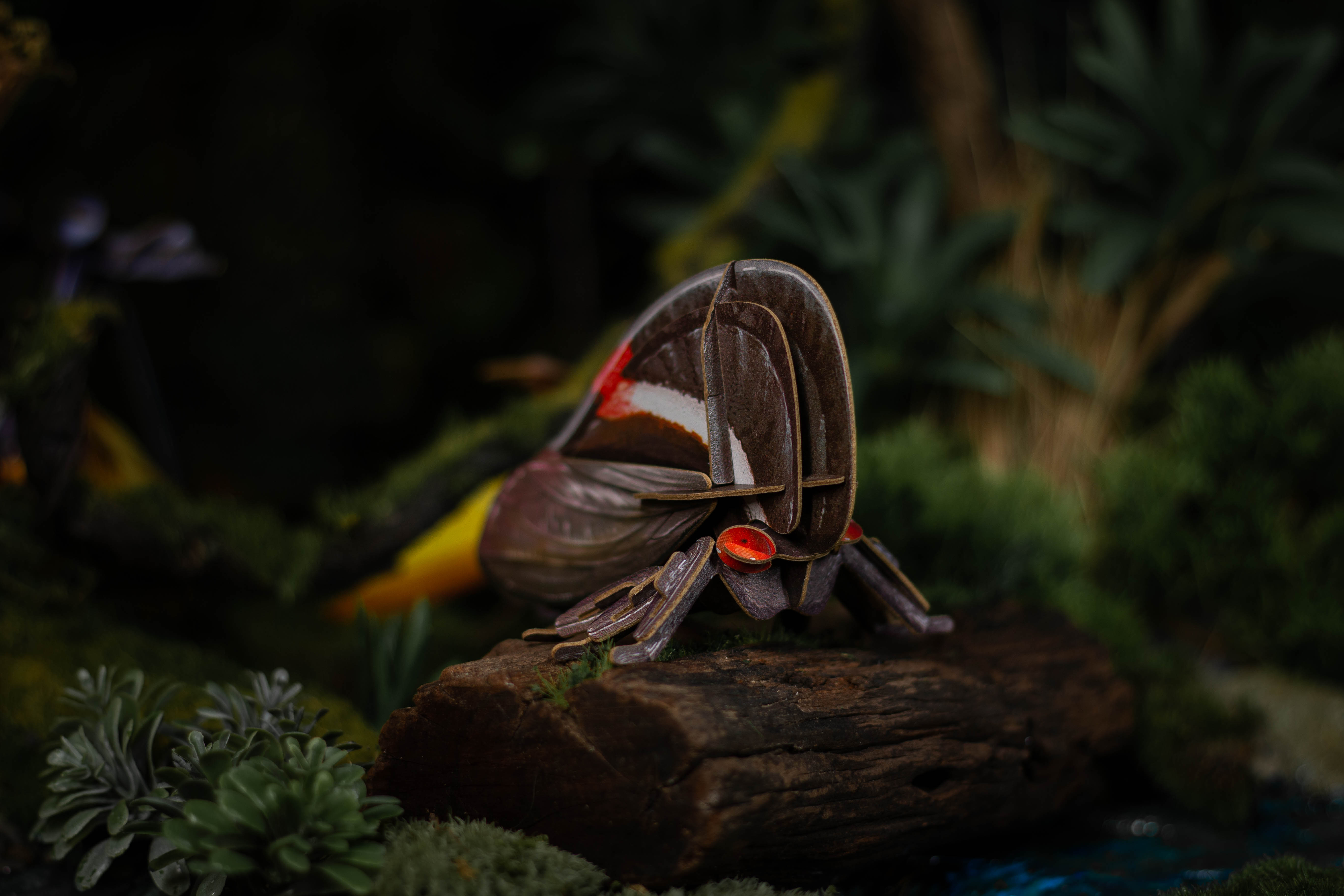 Alien creatures landed!Learn about the weird horned cicada - iNEWS