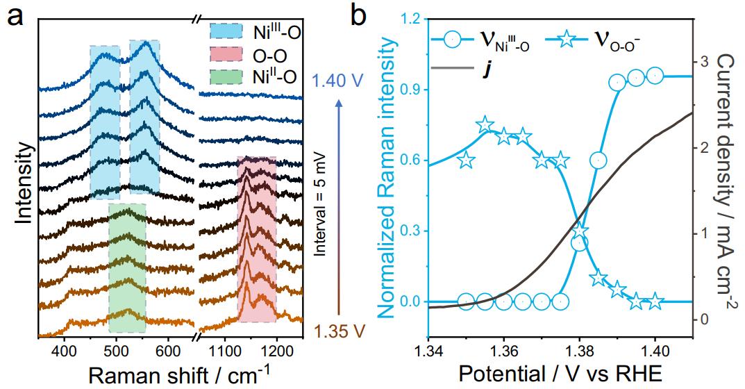 Nankai Xiewei team Angew: Surface-enhanced Raman spectroscopy proves ...