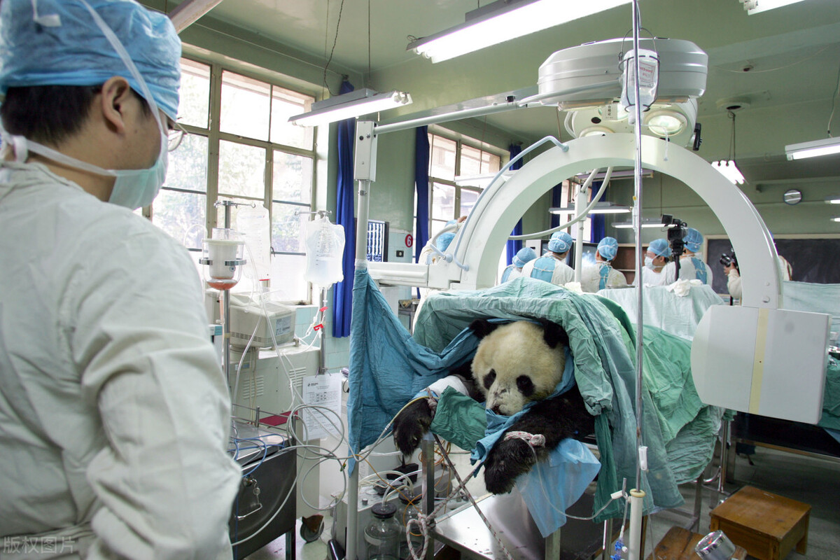 How awesome is Xi'an Xijing Hospital? - iNEWS