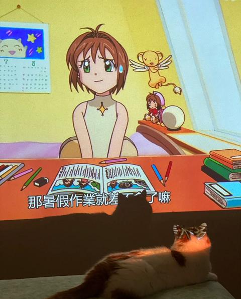 The projector is the first choice for the price of 2000, JMGO G9 gives ...