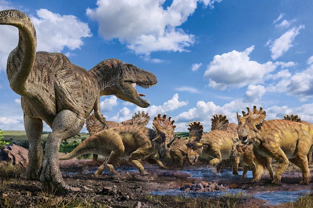 The United Nations issues an alarm!Nearly 1 million creatures are ...