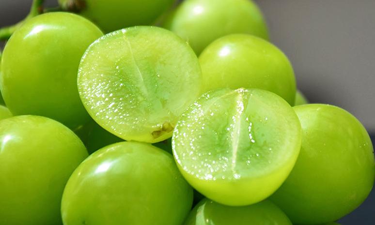 Sunshine rose grapes, the rose is fragrant, sweet but not greasy, you ...