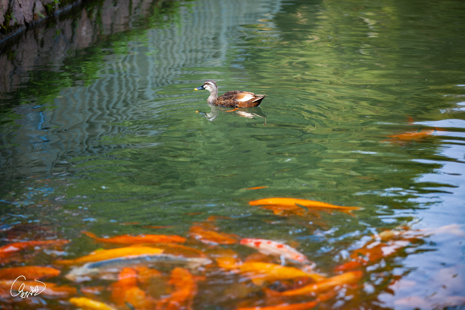 Take a bus tour of Hangzhou: 1314 Road, a lifetime, worth taking once ...