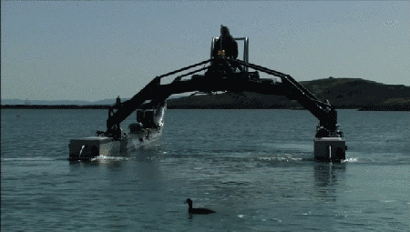 Boat smaller than hair?Inverted boat?A boat that looks like a spider ...