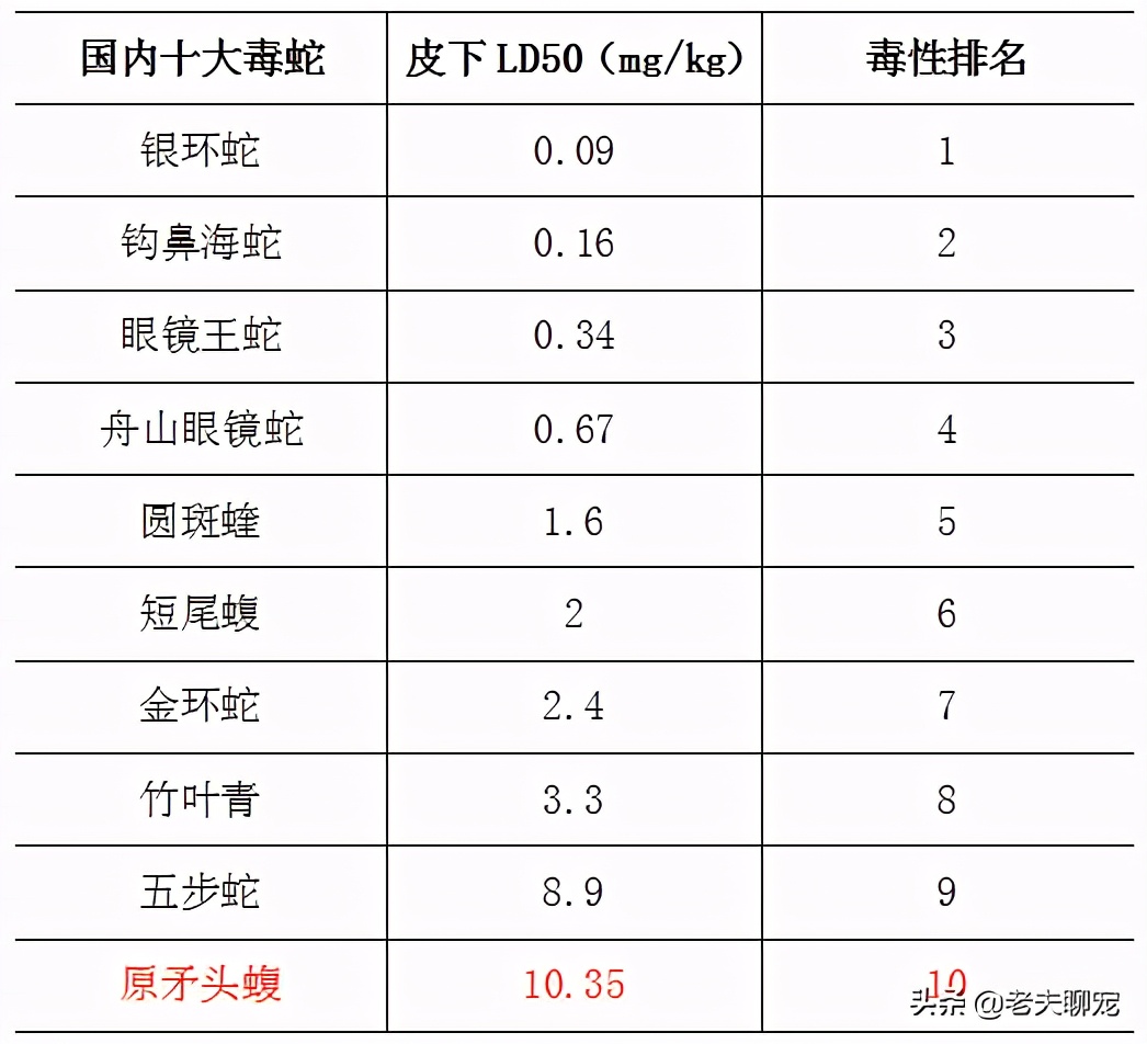 The most feared snake in Asia, the five-step snake, is it really ...