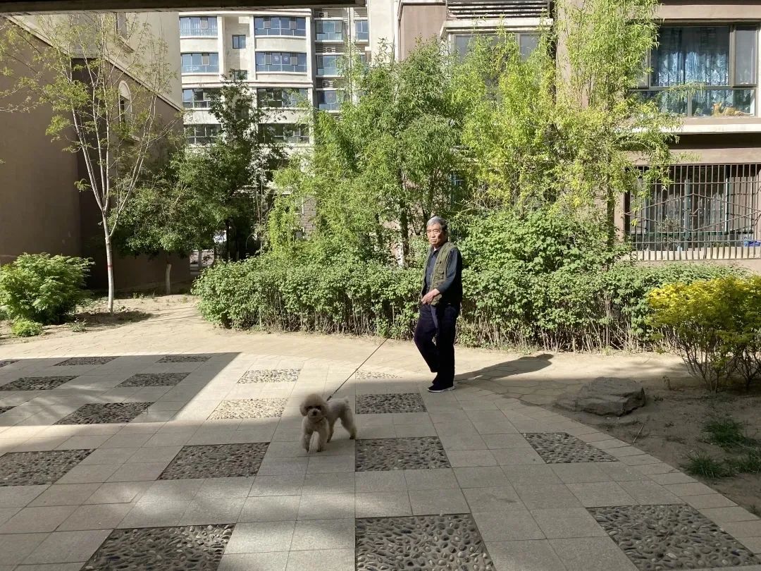 Civilized dog raising, I start by "petting"! - iNEWS