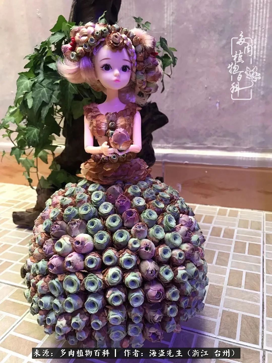 The lead and practice of succulent rose flower processing (part 2) - iNEWS
