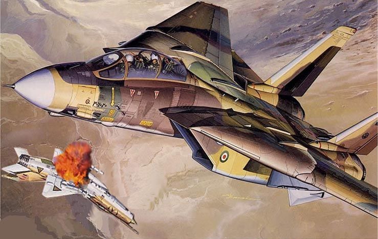 The unyielding Persian Eagle, the Iranian Air Force in the Iran-Iraq ...