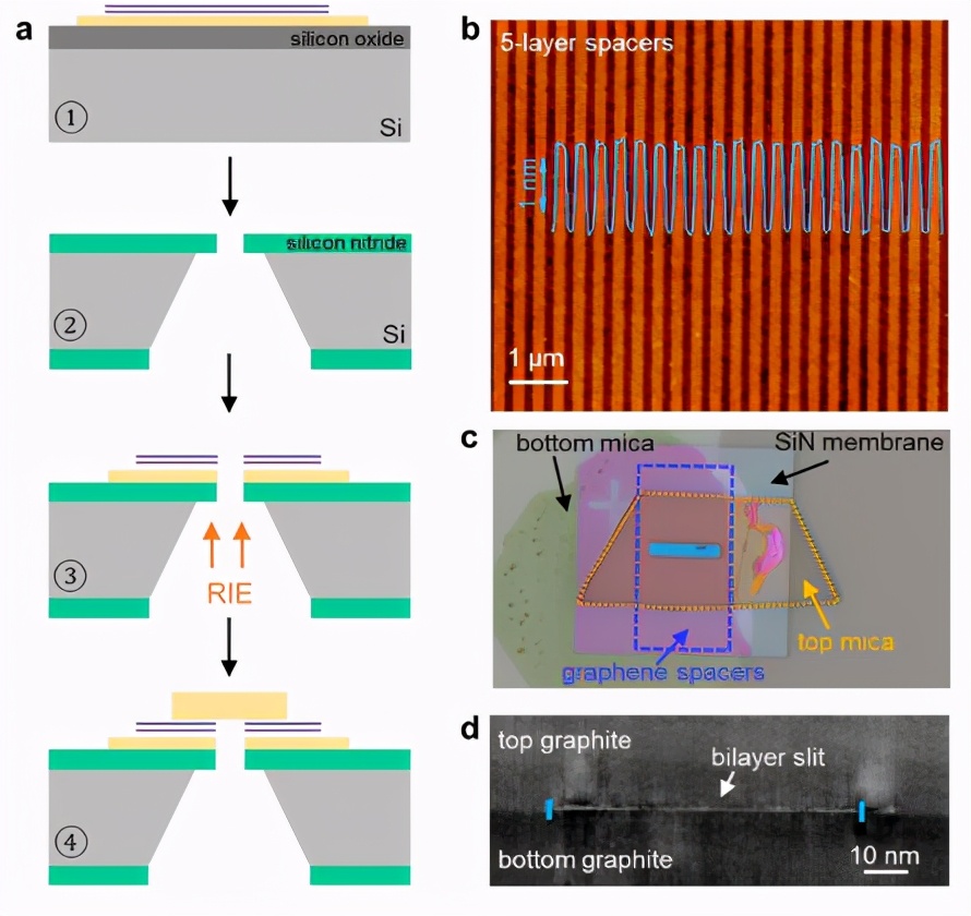 Correct the Kelvin equation! A female scientist born in the 1990s ...