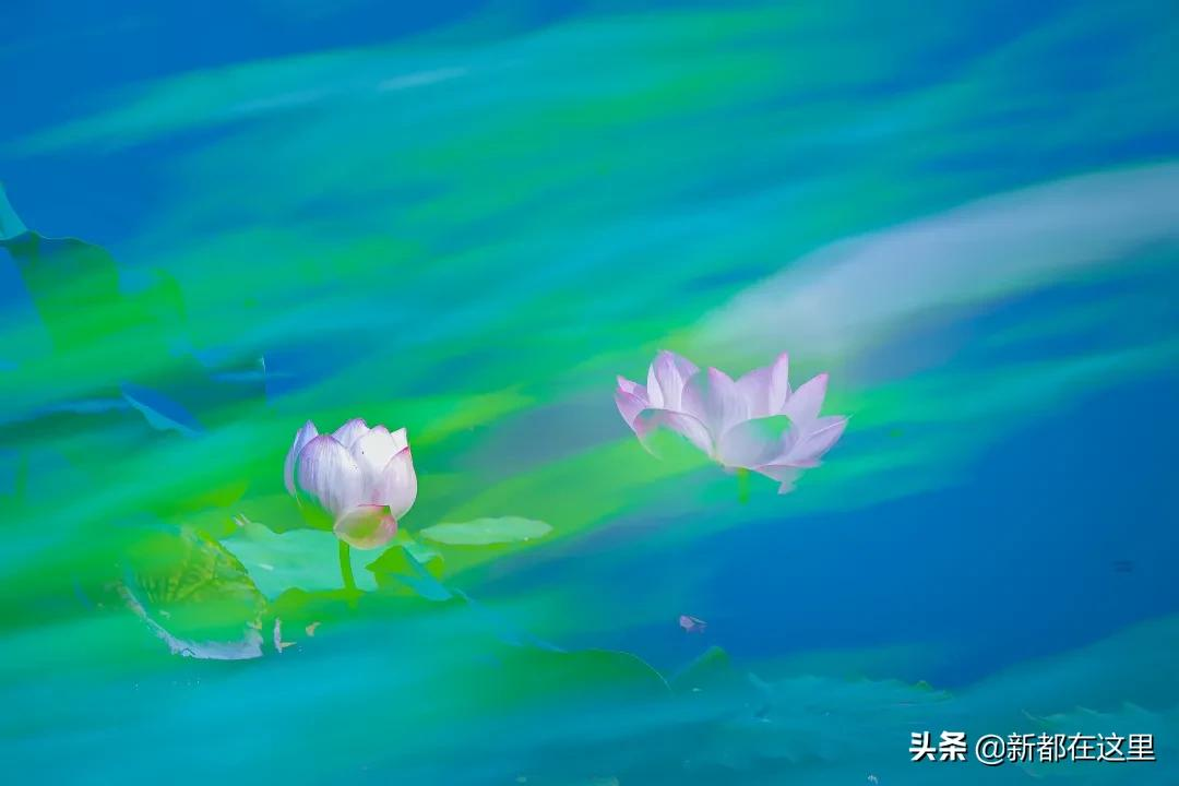 I heard that "Xia Yuhe" is beautiful? - iNEWS