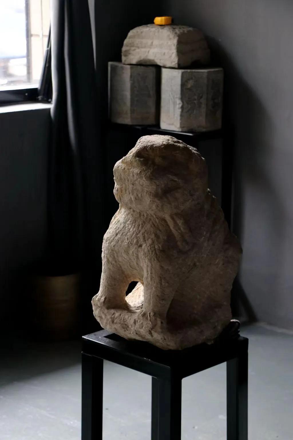 [Big Fat•Stone Tiger] - iNEWS