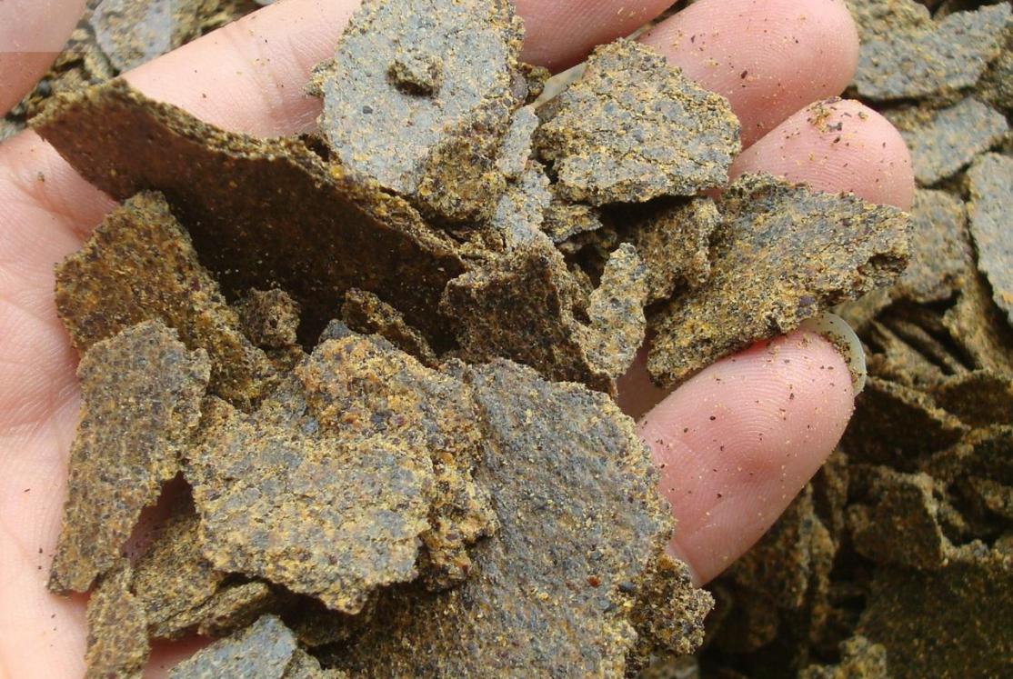 Rapeseed cake is fermented to make flower fertilizer, and the ...