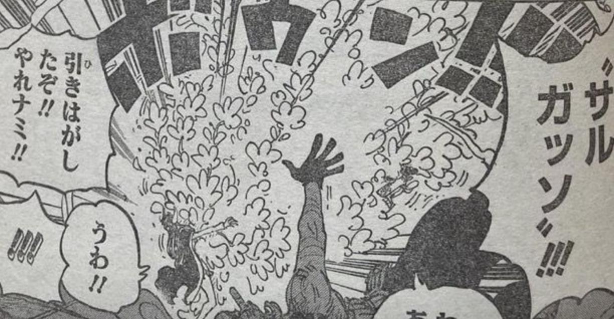 Chapter 1016, Urti loses, Nami wins the experience pack, and the MVP ...