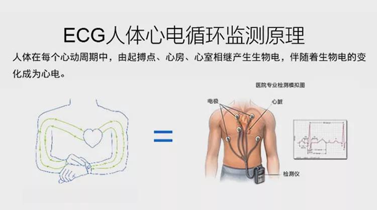 The Smart Way of Wearable ECG Devices - iNEWS
