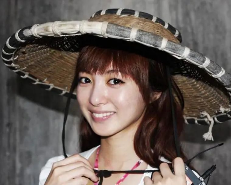 CCTV host: Li Mi - iNEWS