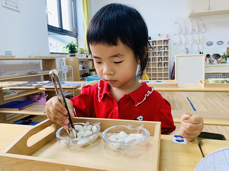 Returning the freedom of play to children will make them better - iNEWS