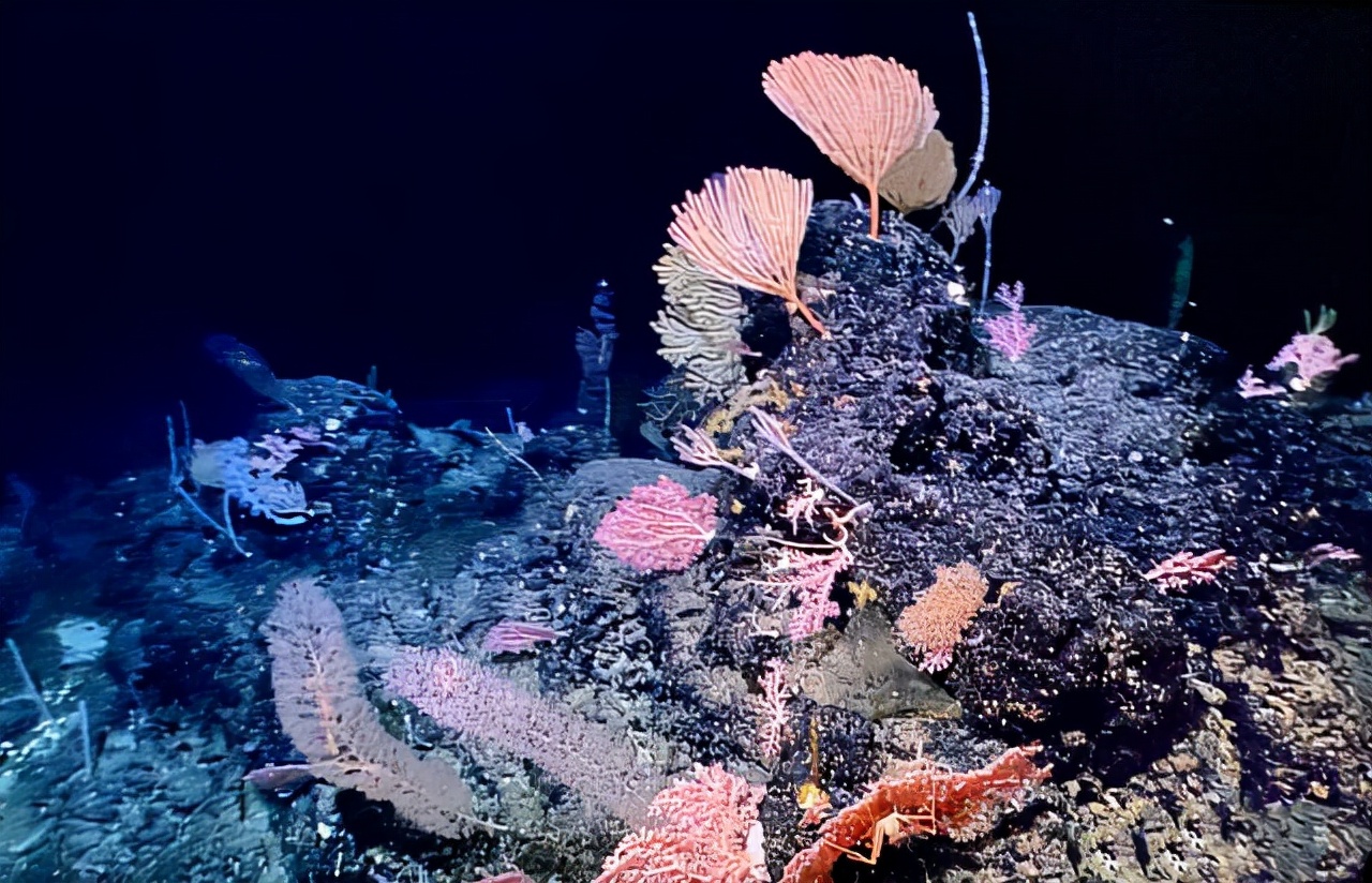 If you keep digging from the ground, will you dig through the earth ...