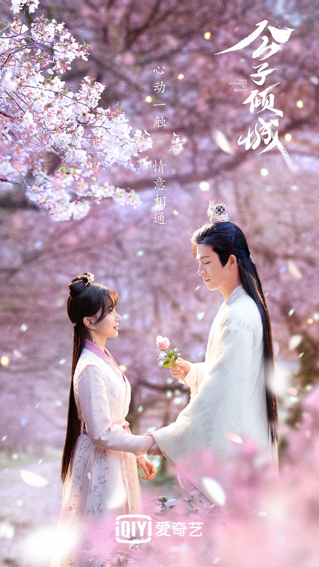 "Prince Allure" stills Bu Guanjin Wang Xing more perceptual exchange ...