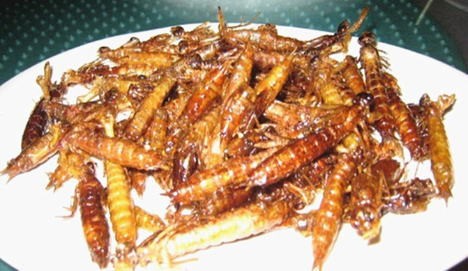 The second wave of Yunnan delicacy, the "gourmet" you can't imagine - iNEWS