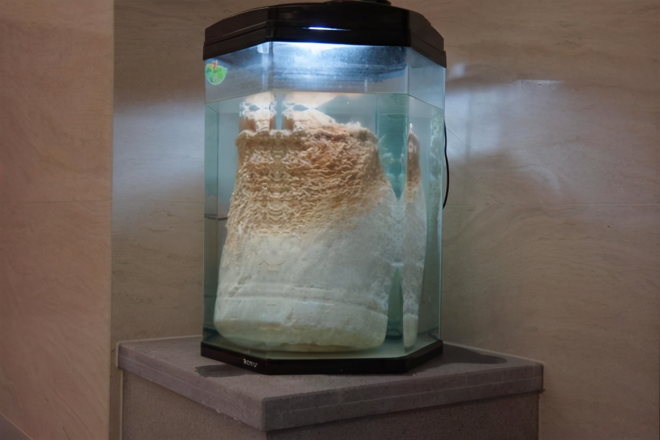 What is Tai Sui? It is not the "meat" of plants or animals. Why can it ...