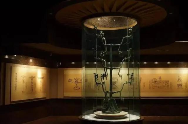 What kind of tree is the "Qinling Sacred Tree" in Sanxingdui, and what ...