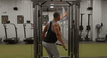 How to exercise shark muscle? Practice these 4 actions repeatedly to ...