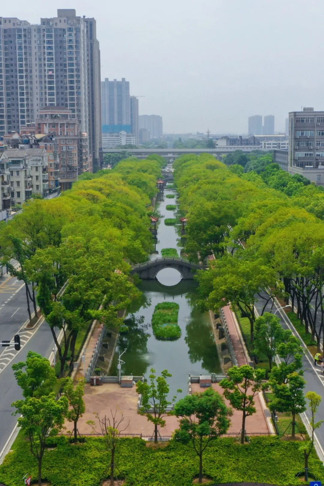 A picture crosses, the ten most beautiful boulevards in Wuhan! - iNEWS