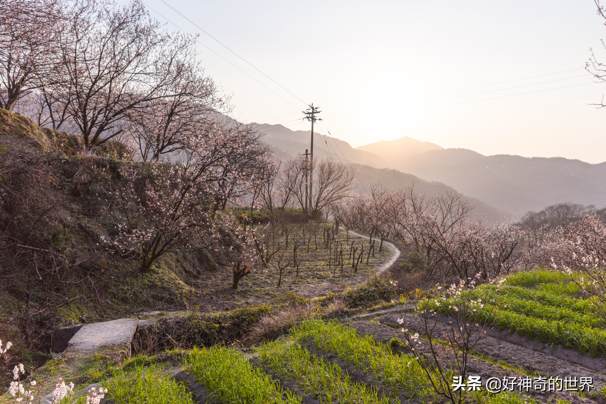 The mountain village in the depths of Siming Mountain in Ningbo is ...