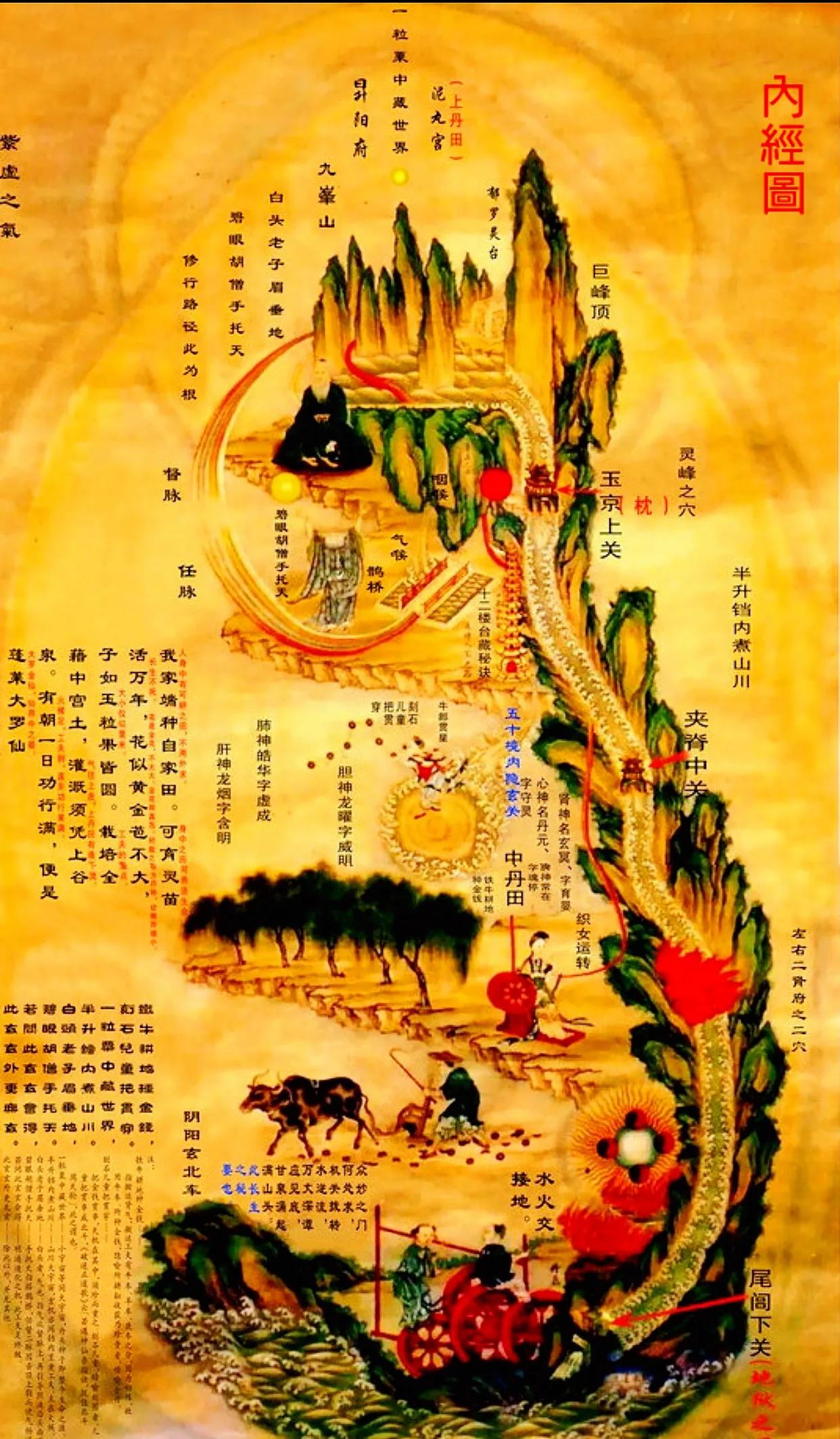 "The Yellow Emperor's Classic of Internal Medicine" is the theoretical ...