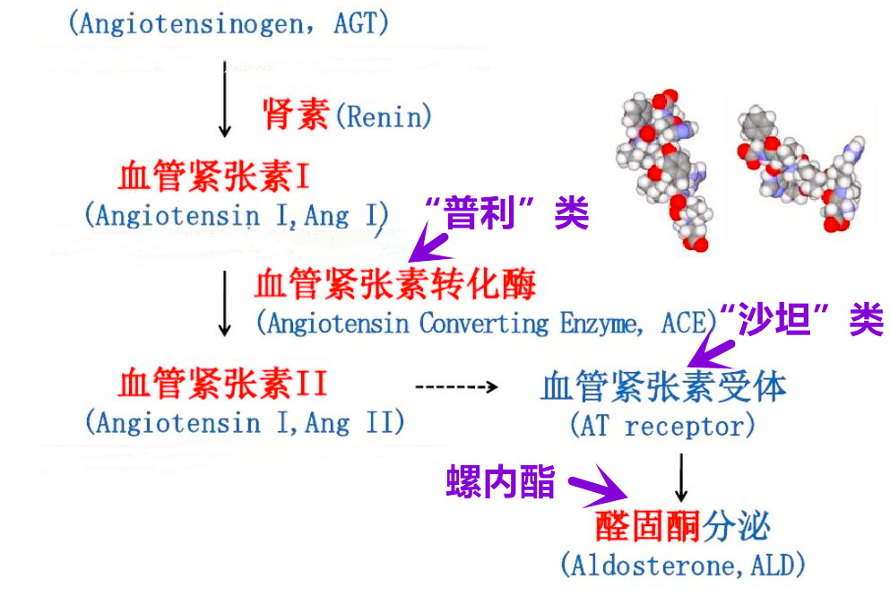 What kind of medicine is used to treat heart failure?From the "Golden ...