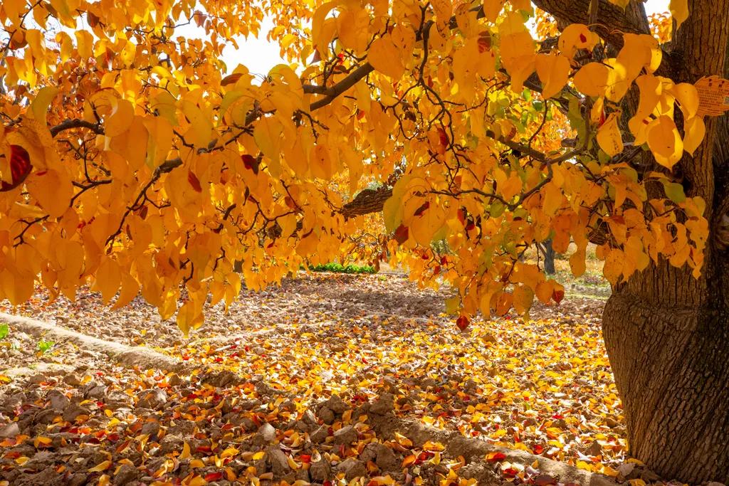 The photographer's basic photography formulas - iNEWS