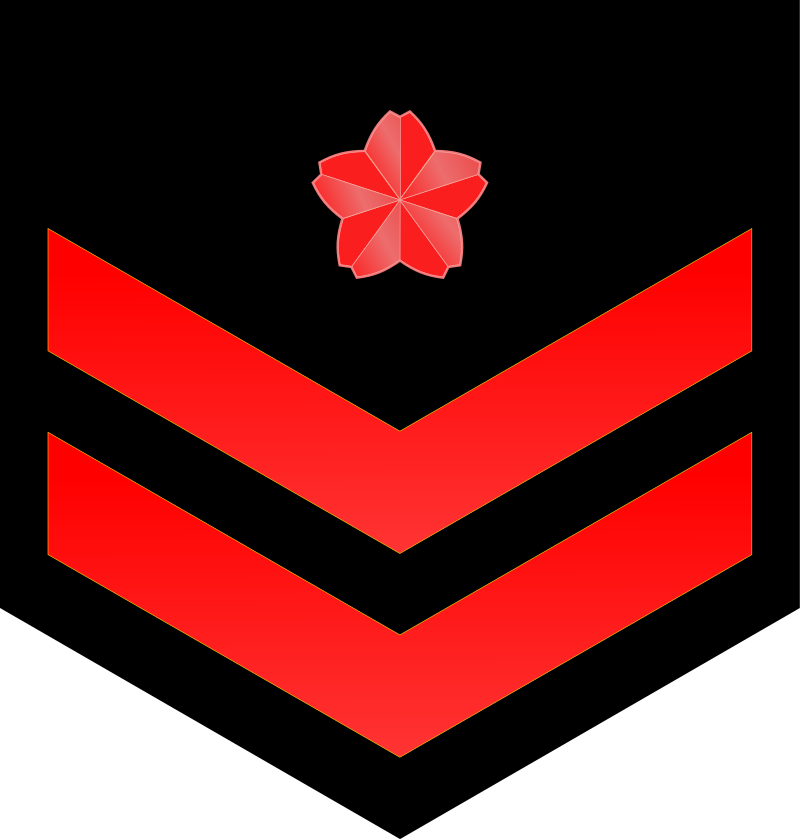 Military rank identification of each country: Japan - iNEWS